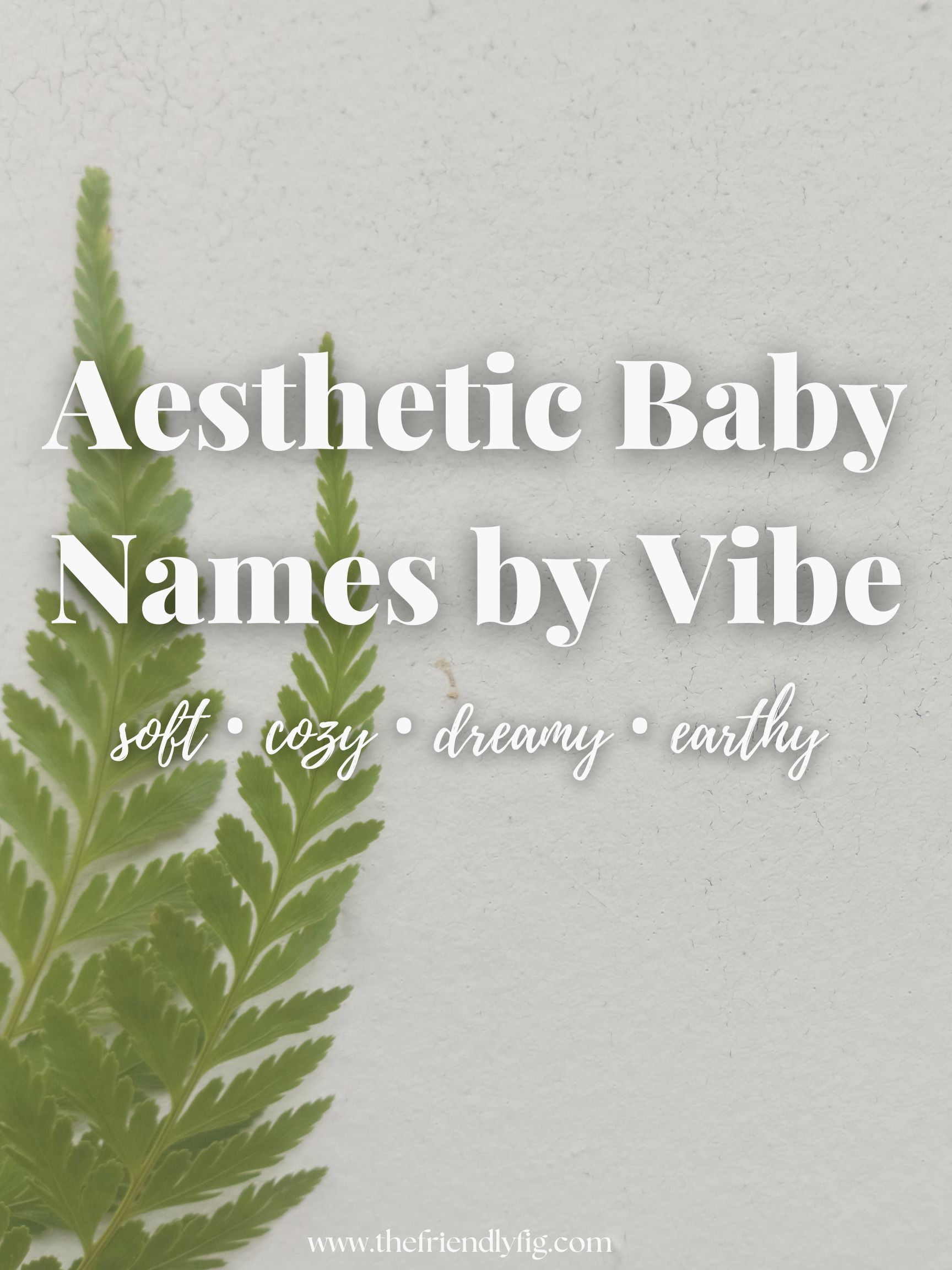 Aesthetic Baby Names by Vibe: Soft, Cozy, Nature & More