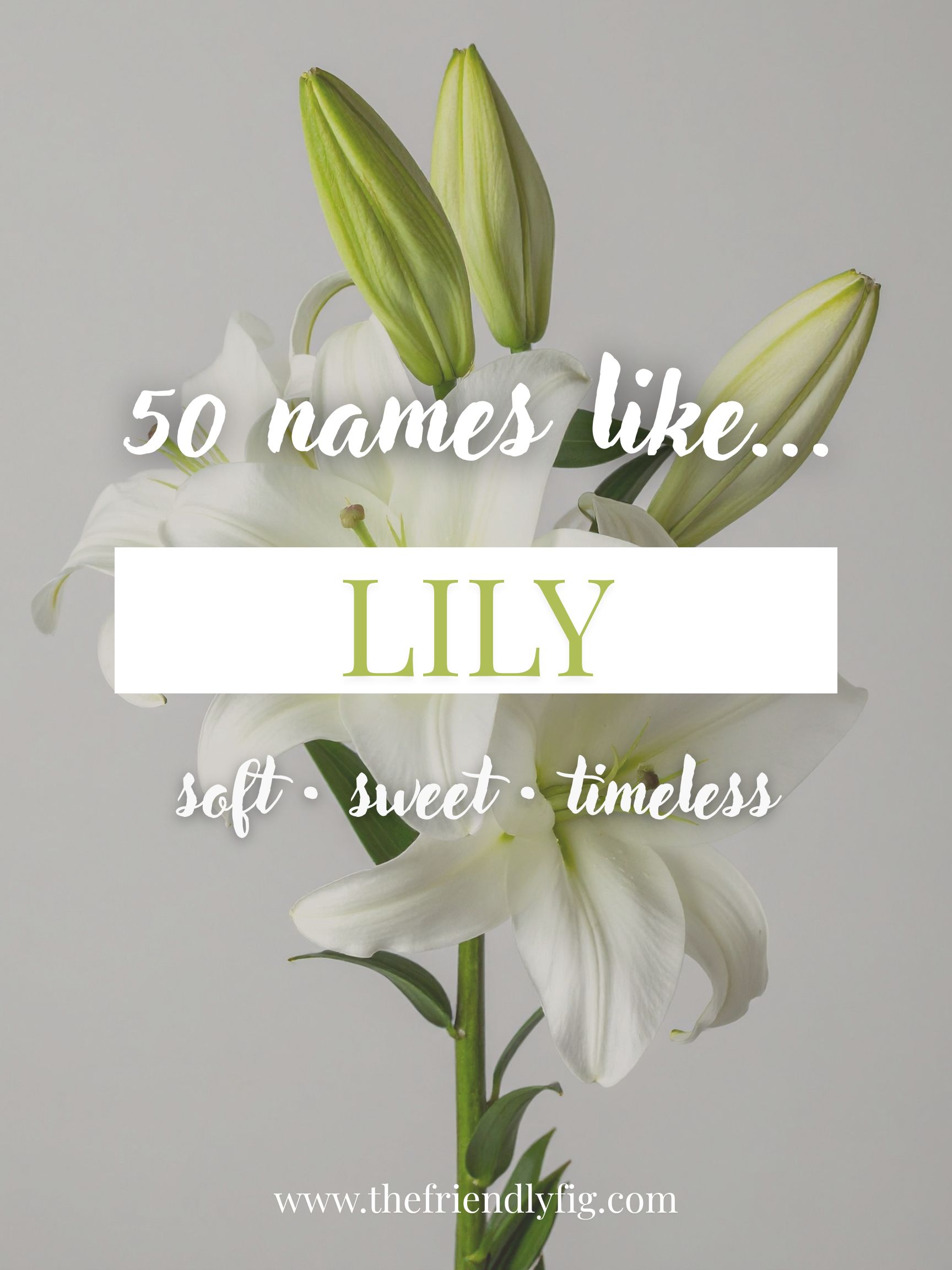 Names Like Lily (Soft, Sweet & Timeless)